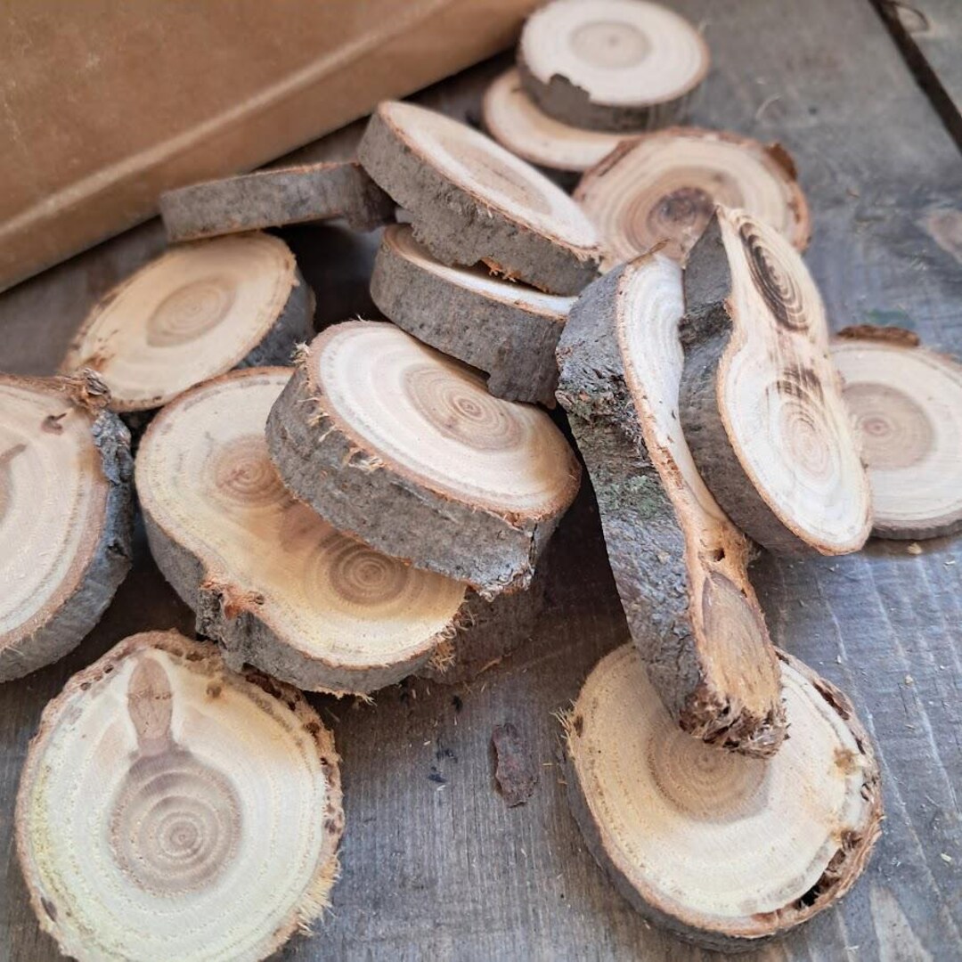 1- 1.5 Inch Wood Slices, Tree Slices, Small Wood Slices, DIY Wood ...