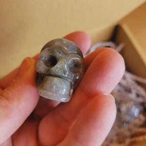 A Variety Box of Crystal Mini Skulls - Etsy
