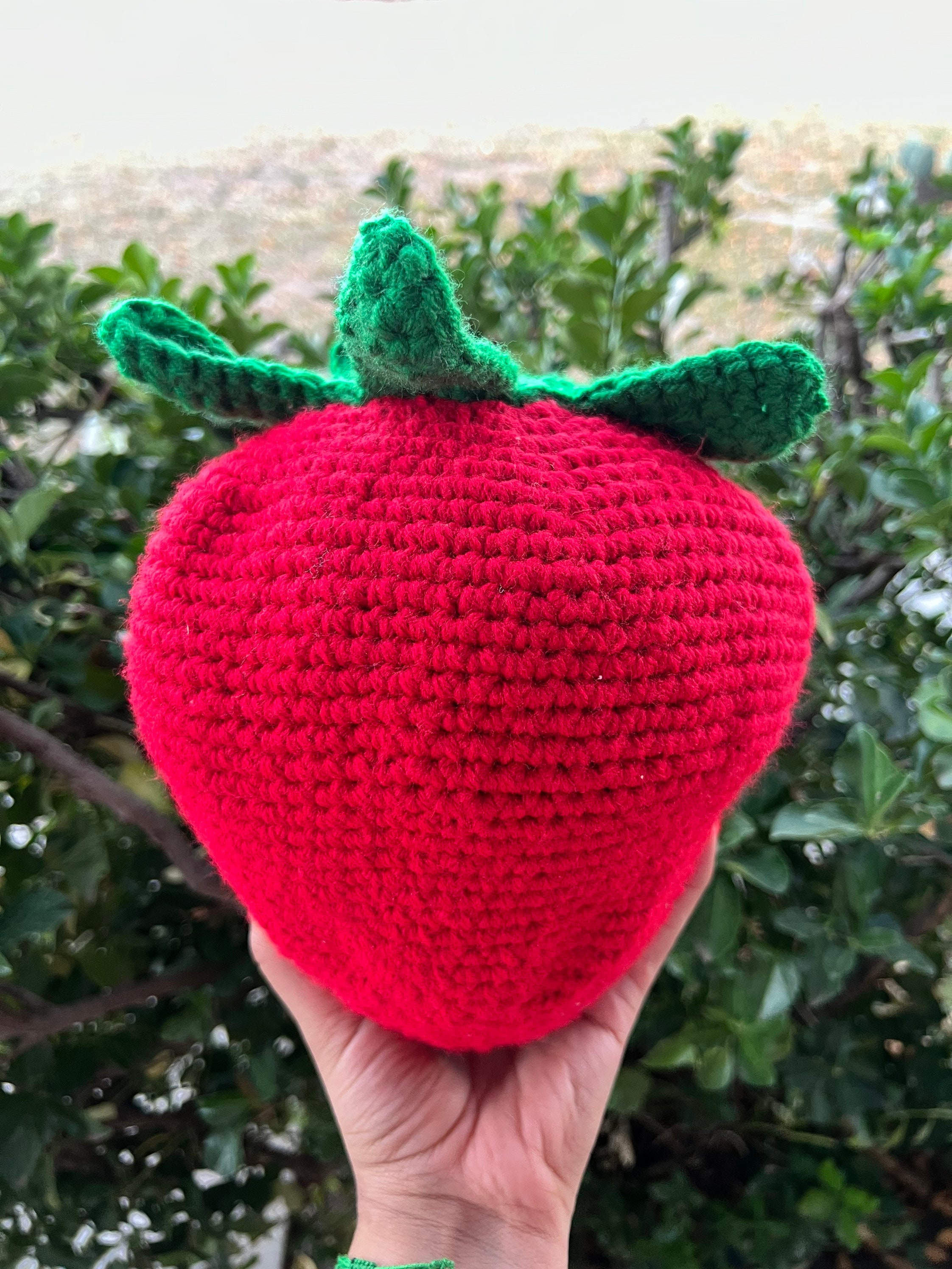 Crochet Strawberry Plush FREE Pattern Video Tutorial Hayhay, 40% OFF