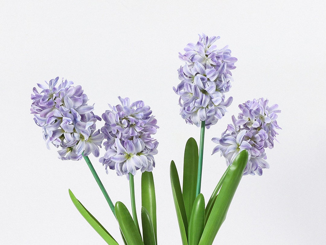 Real Touch Hyacinth Stem With Leaves Artificial Flower Craft - Etsy