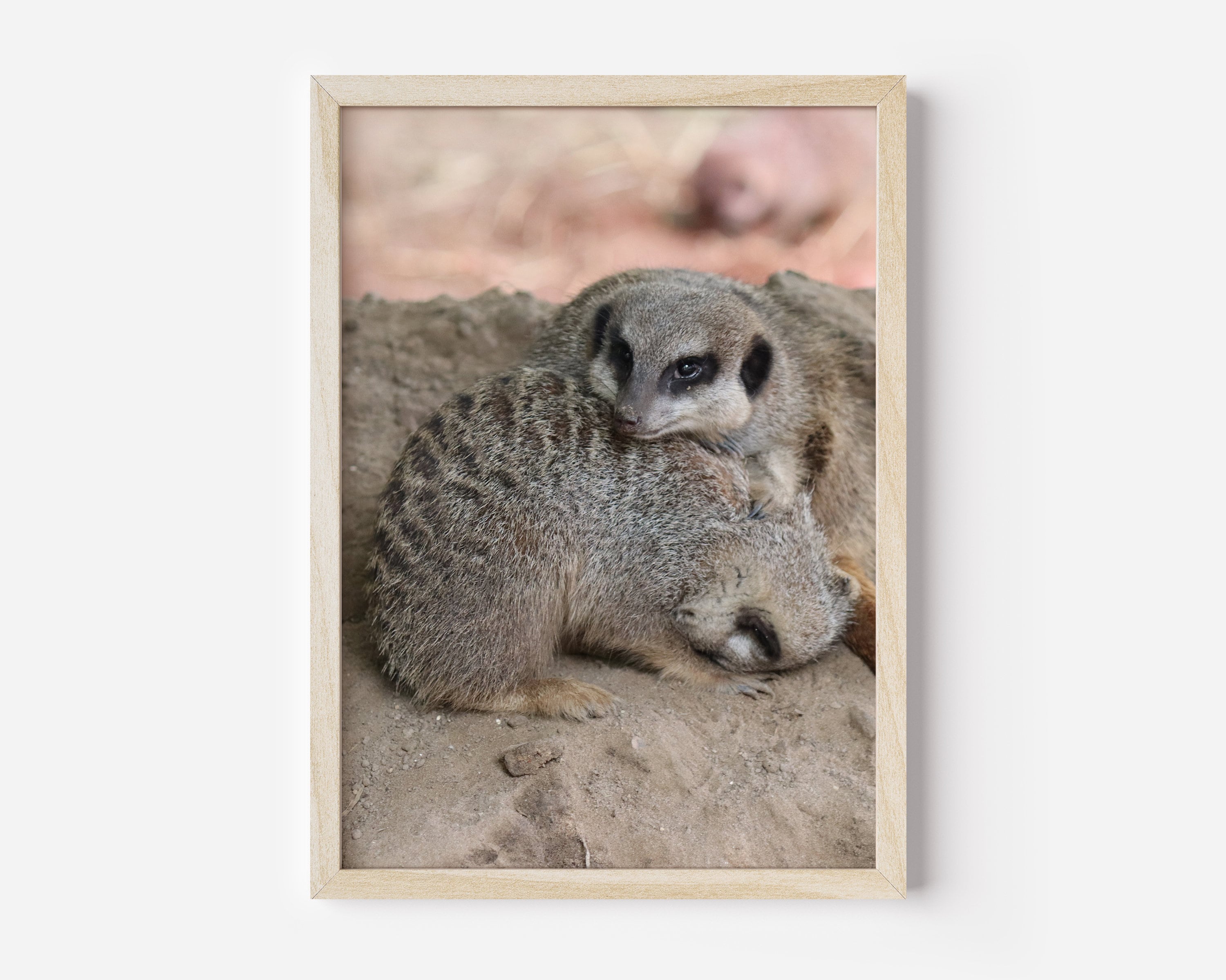 Digital Art Print Meerkat Printable Instant Download - Etsy