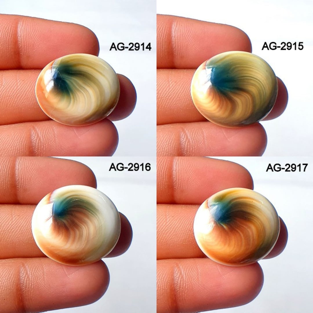 Shiva Eye Shell Cabochon - Natural Shiva Eye Gemstone - High Quality ...