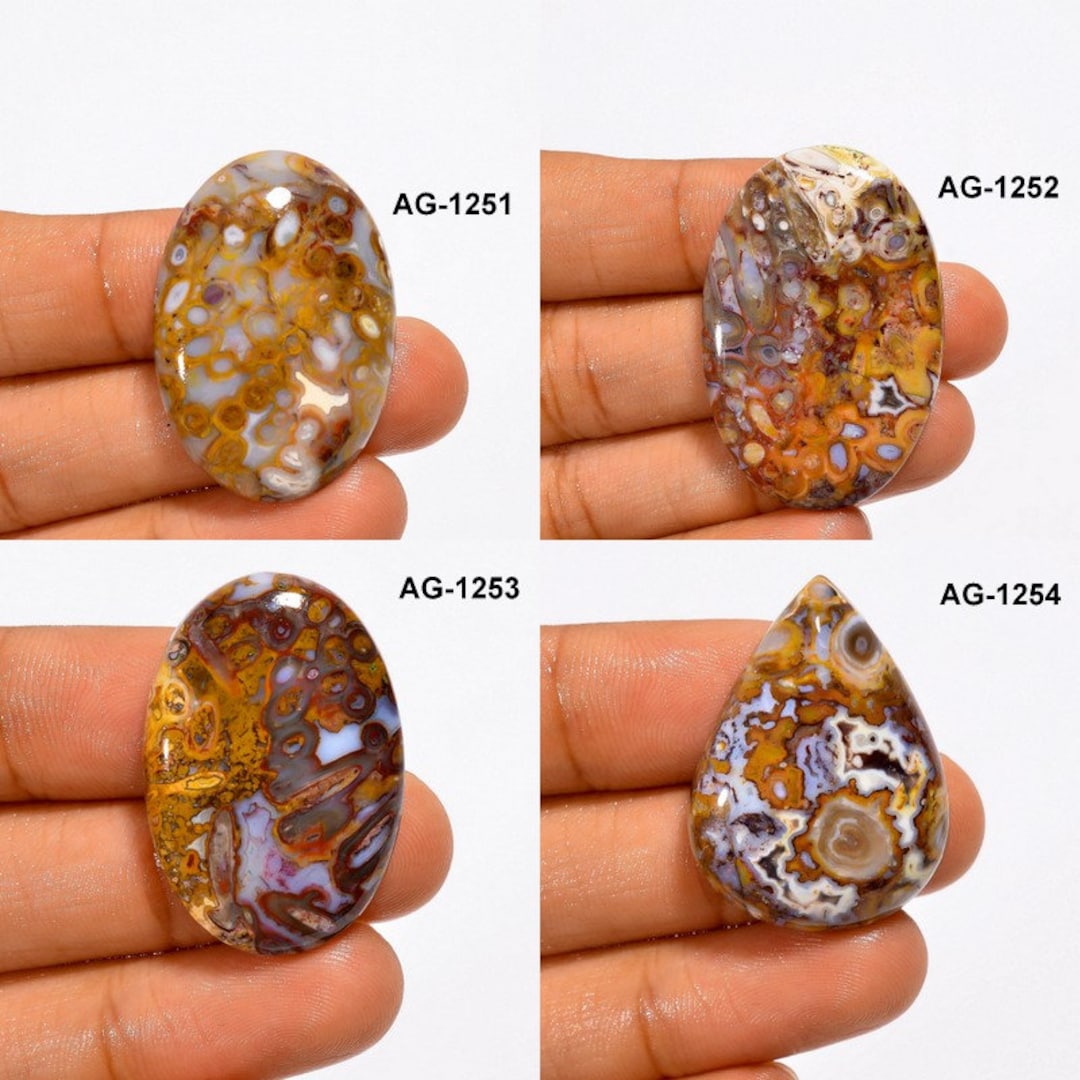 Yellow Palm Root Agate Cabochon High Quality Palm Root Agate Gemstone ...