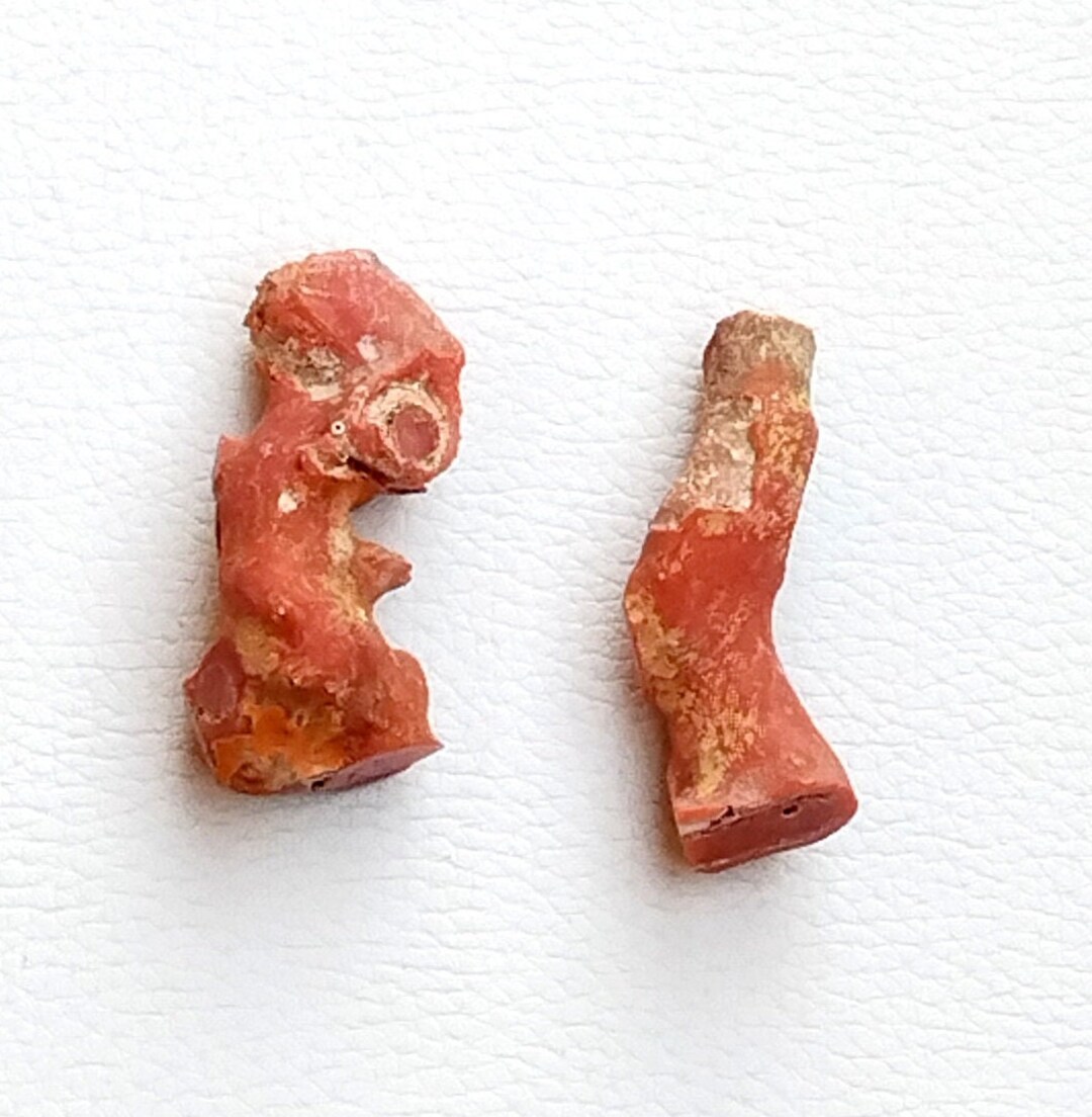 Genuine Red Coral Rough Branch Natural Unpolished Italian Coral Rough ...