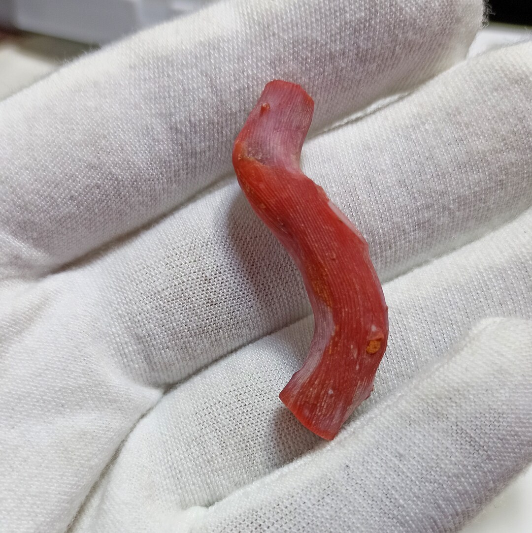 Deep Sea Coral Rough, 100% Natural Italian Red Coral Rough Gemstone ...