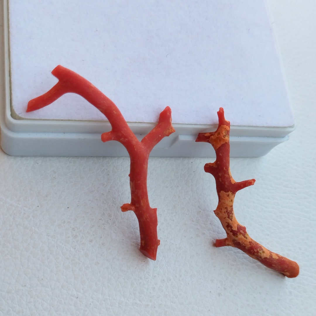 100% Natural Italian Red Coral Branches, Red Coral Rough Branch ...