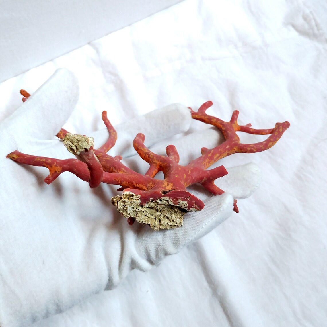 HUGE SIZE TREE.. Top Rare Excellent Quality Red Coral Tree, 100% ...
