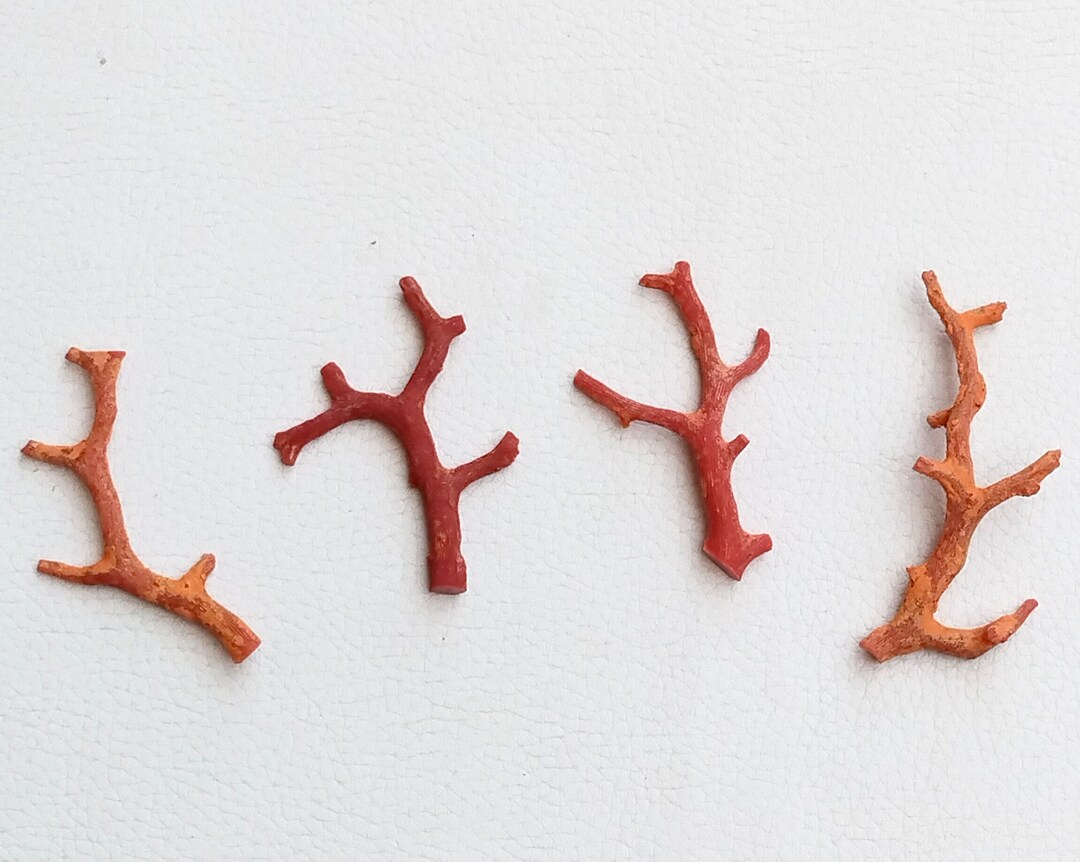 Natural Red Coral Branch Sticks, Italian Gemstone, 48.95 Cts A430 - Etsy