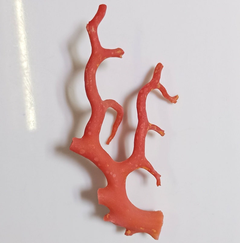 Big Size 100%natural Italian Coral Stick Gemstones Loose Red Coral Tree ...