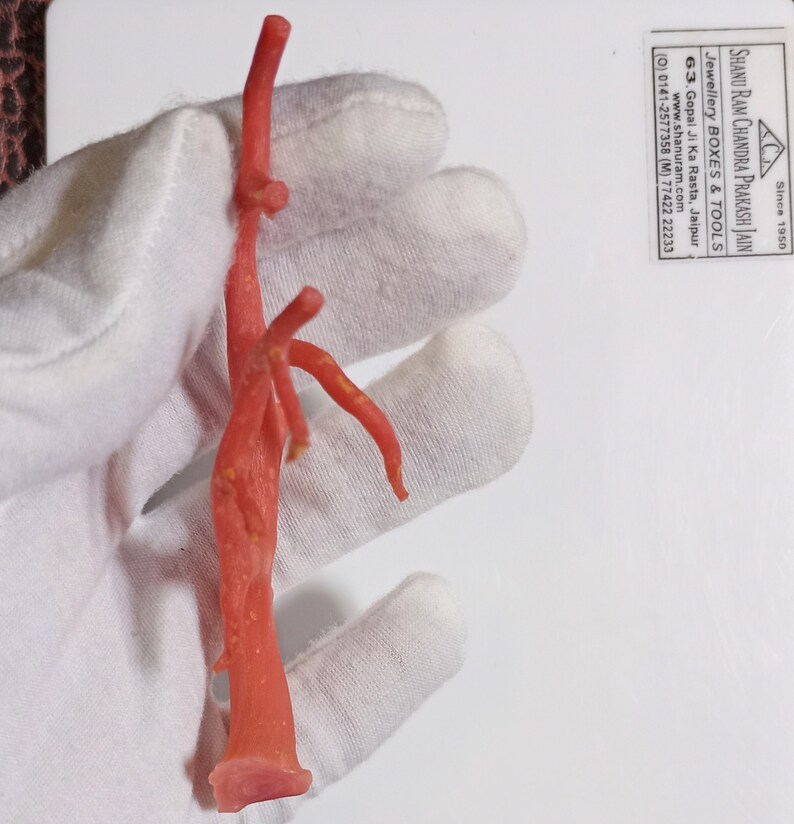 Big Size 100%natural Italian Coral Stick Gemstones Loose Red Coral Tree ...