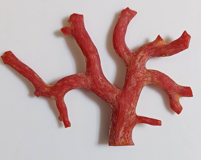 Vintage Red Coral Tree Non Polished Branch-100%natural Italian Red ...