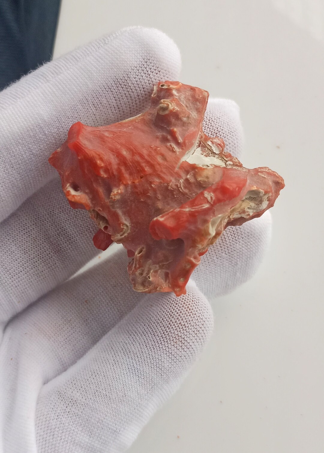 Rare Italian Red Coral Big Loose Rough, Gemstone-mediterranean Sea ...