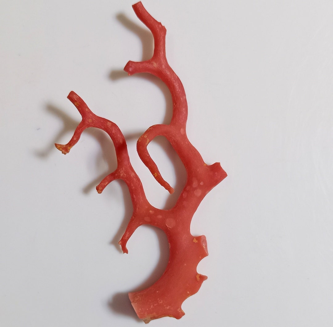 Big Size 100%natural Italian Coral Stick Gemstones Loose Red Coral Tree ...