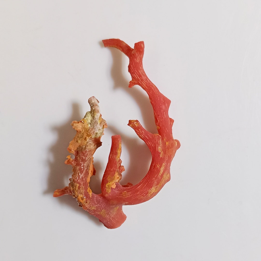 Rare 100% Natural Best Italian Coral Rough Gemstone Red Coral Rough 40 ...