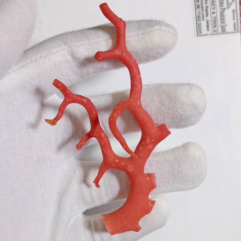 Big Size 100%natural Italian Coral Stick Gemstones Loose Red Coral Tree ...
