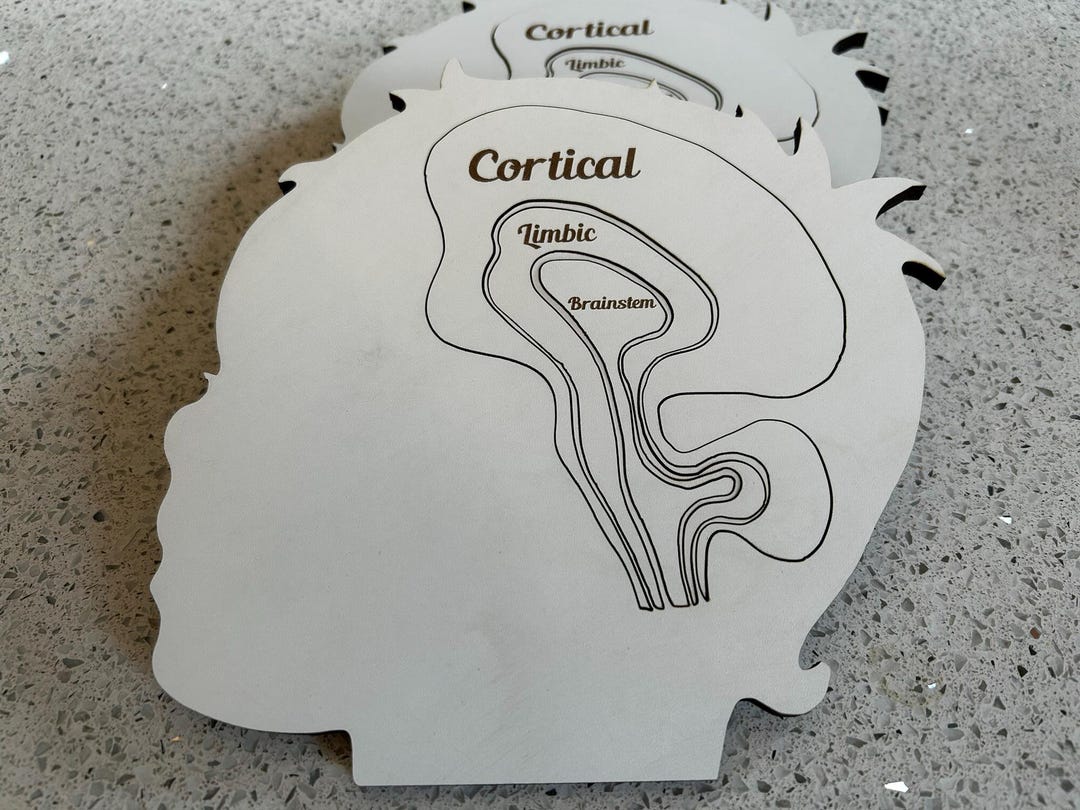 Brain Puzzle - Cortical Limbic and Brainstem Pieces - Useful Therapy ...