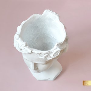 Greek Goddess Planter, Antique Venus Head Statue, Roman Style Concrete ...