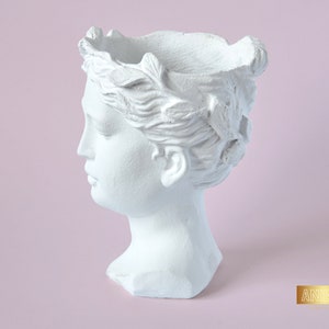 Greek Goddess Planter, Antique Venus Head Statue, Roman Style Concrete ...