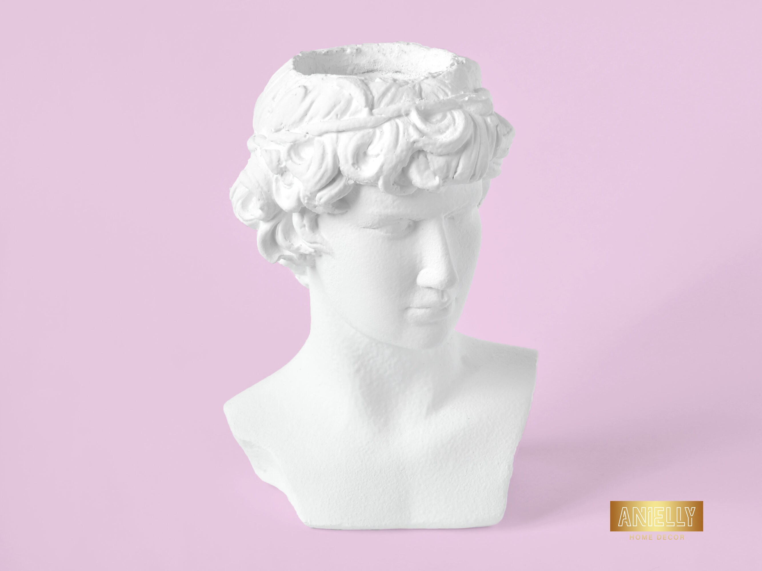 Greek God Planter, Apollo Bust Vase, Head Succulent Pot, Face Vase Home ...