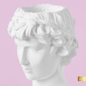 Greek God Planter, Apollo Bust Vase, Head Succulent Pot, Face Vase Home ...