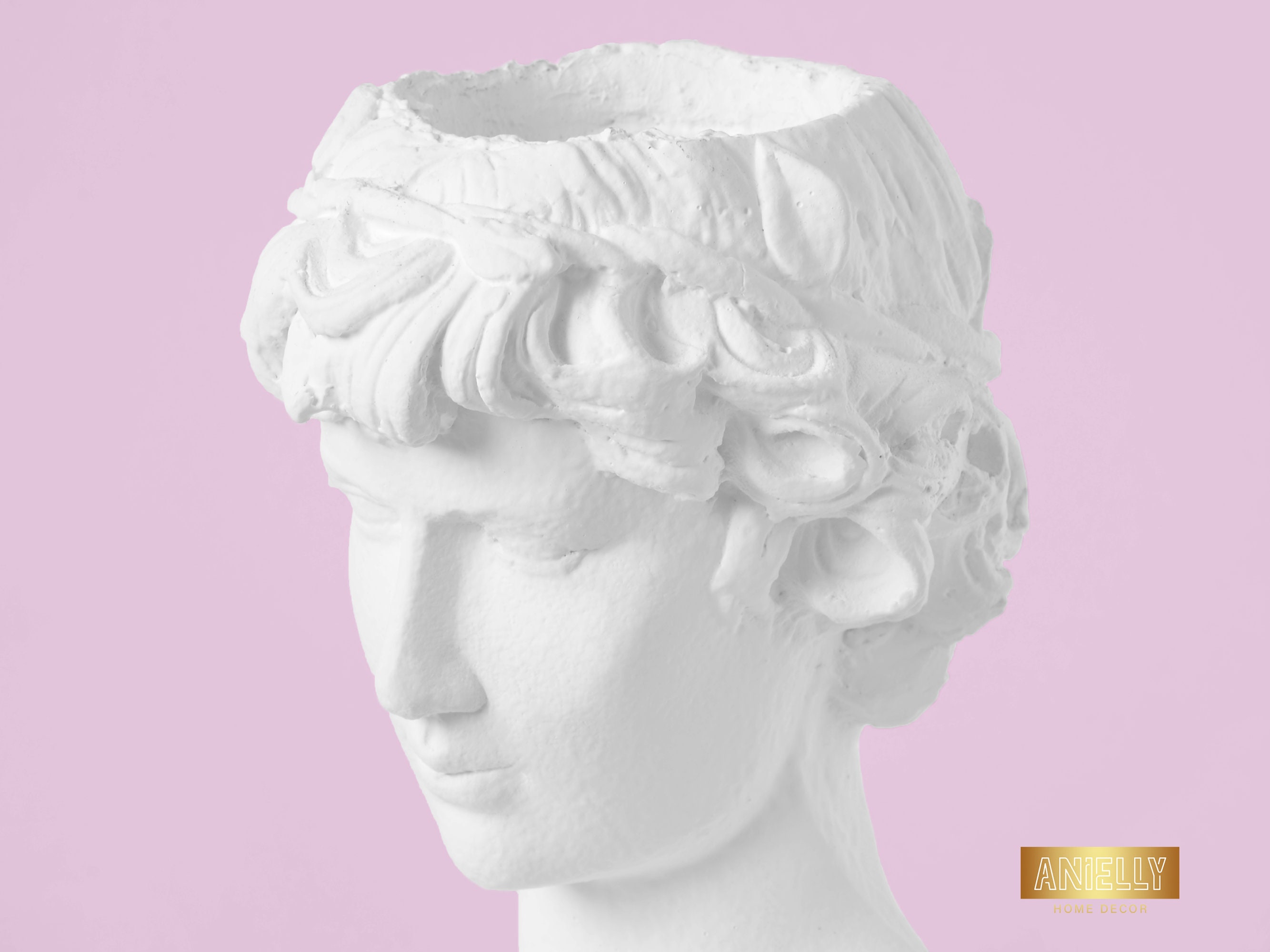 Greek God Planter, Apollo Bust Vase, Head Succulent Pot, Face Vase Home ...