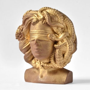 Medusa Gorgon Head Planter, Greek Statue Flower Vase, Goddess Face ...