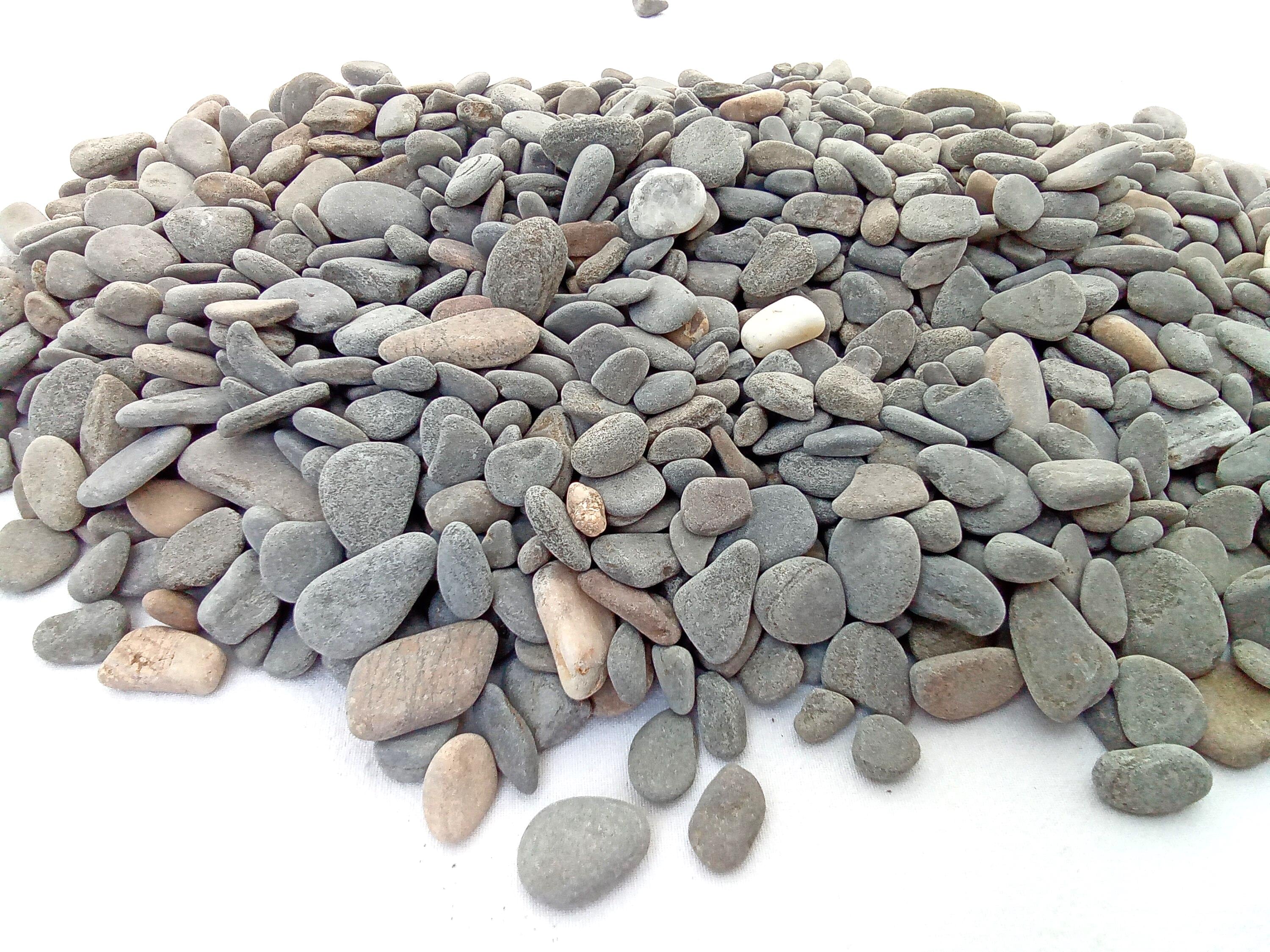 Small Tiny Sea Pebbles. Flat Sea Stones. Gray Beach Pebbles 0-30 Mm (0 ...