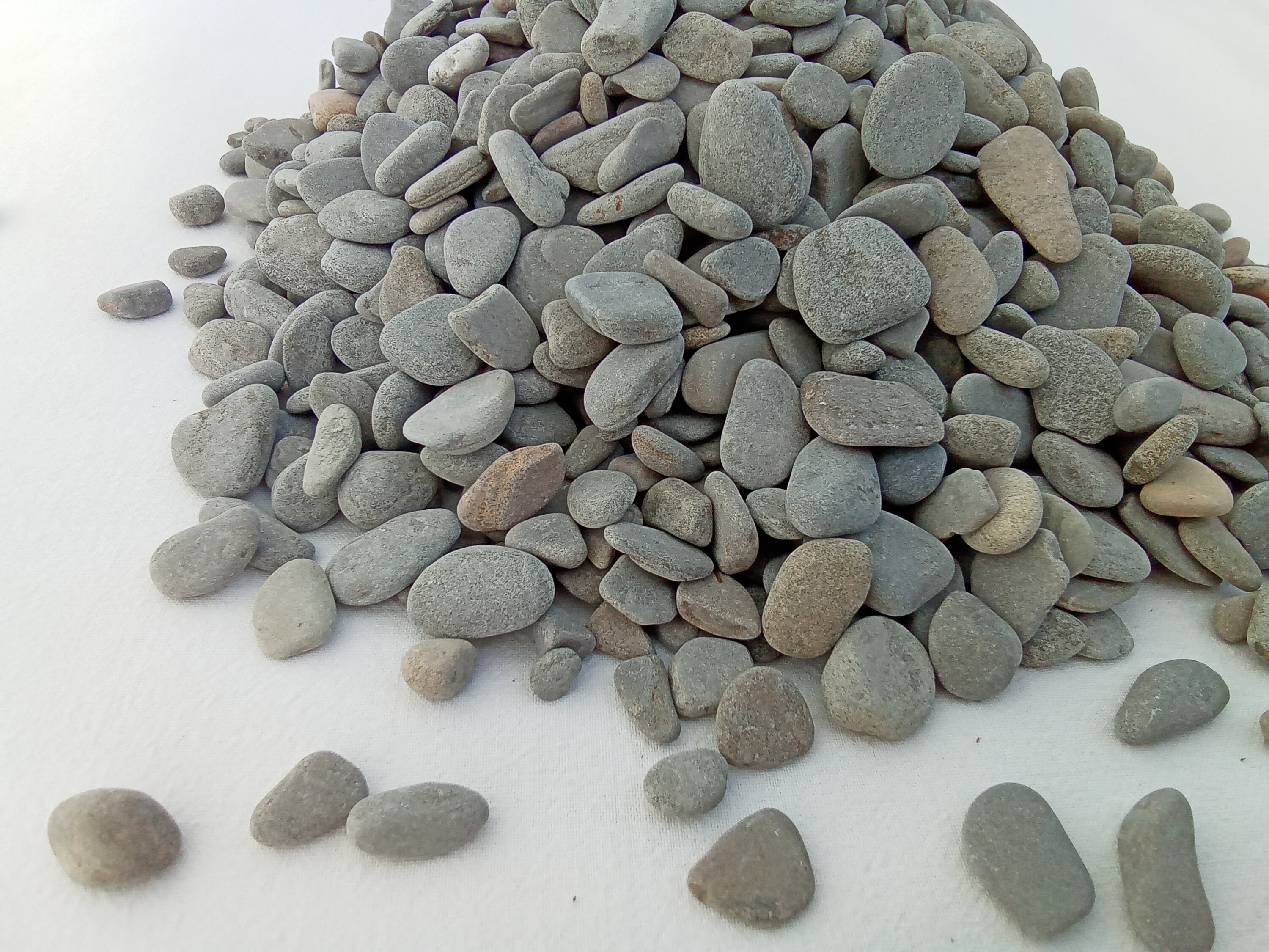 Small Tiny Sea Pebbles. Flat Sea Stones. Gray Beach Pebbles - Etsy