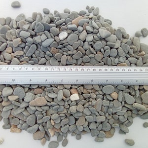 Small Tiny Sea Pebbles. Flat Sea Stones. Gray Beach Pebbles 0-30 Mm (0 ...