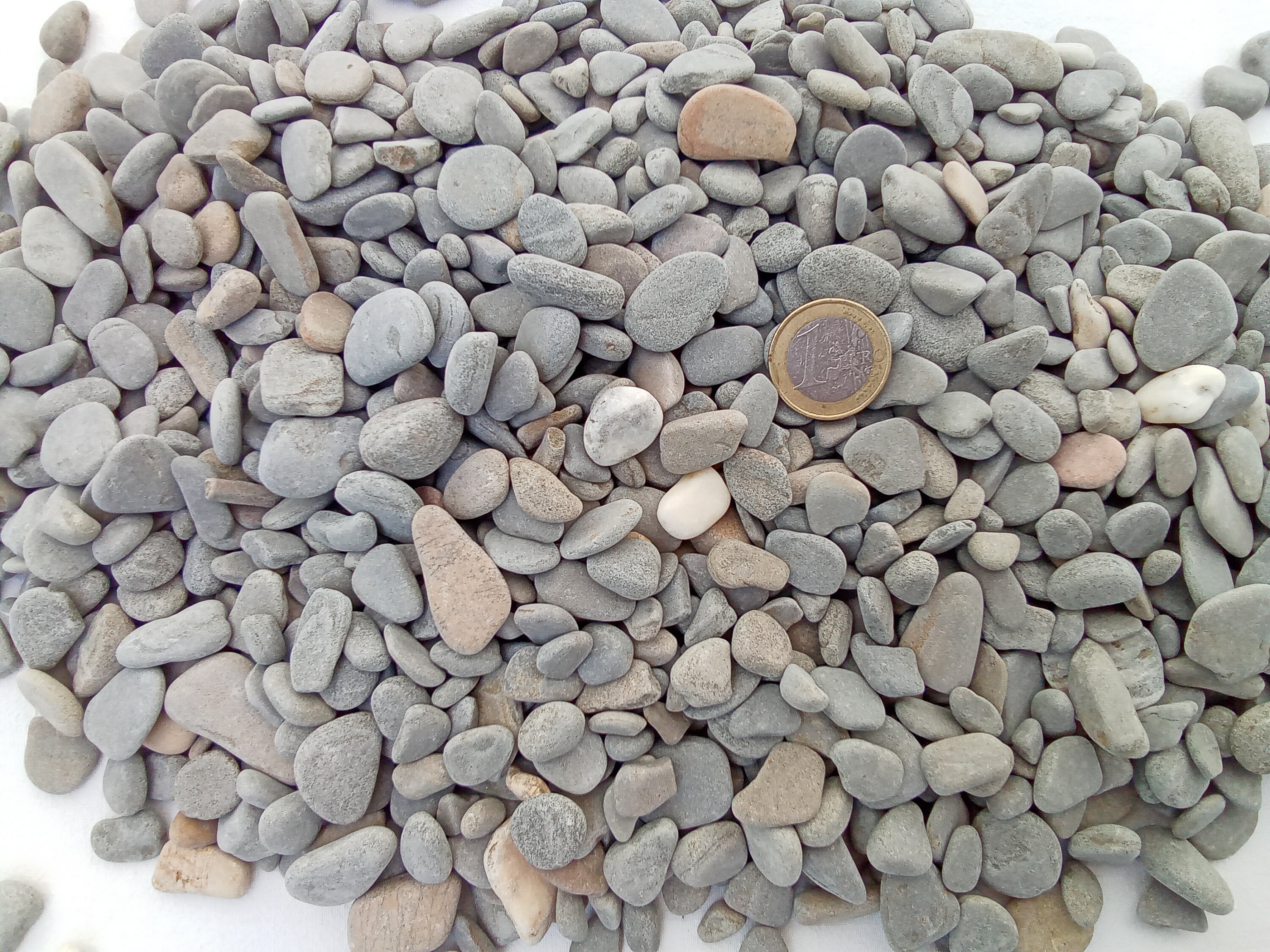 Small Tiny Sea Pebbles. Flat Sea Stones. Gray Beach Pebbles - Etsy