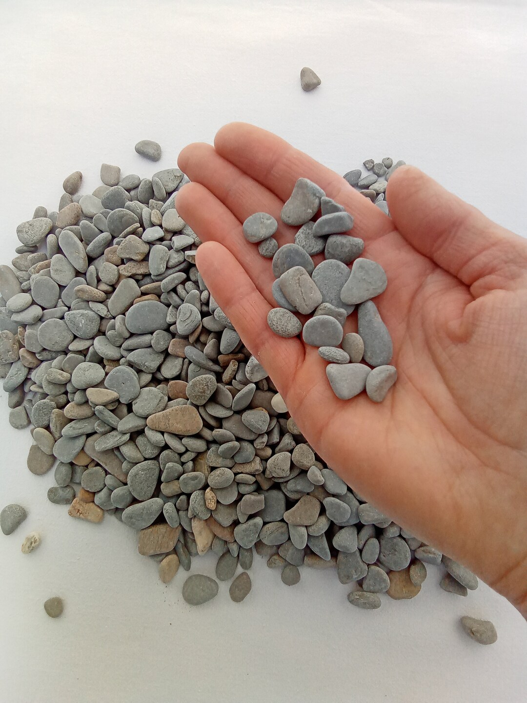 Small Tiny Sea Pebbles. Flat Sea Stones. Gray Beach Pebbles 0-30 Mm (0 ...