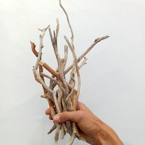 Driftwood Curly Sticks. 20 Pcs. Craft Supplies. Beach Home Decor ...