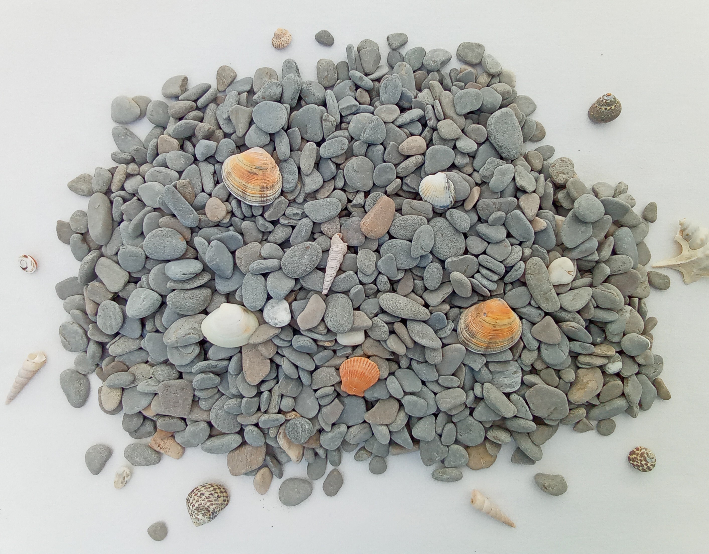 Small Tiny Sea Pebbles. Flat Sea Stones. Gray Beach Pebbles - Etsy