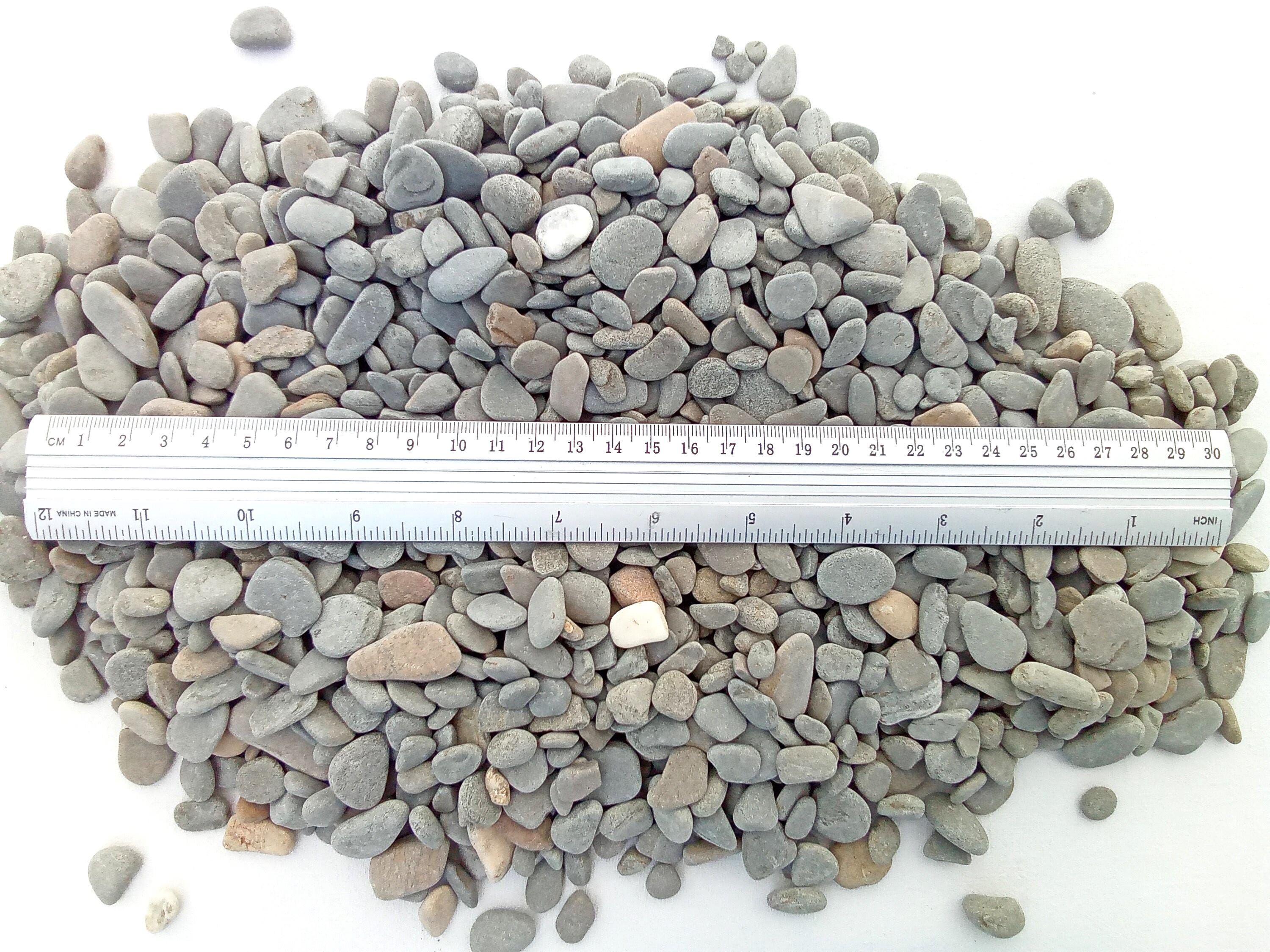 Small Tiny Sea Pebbles. Flat Sea Stones. Gray Beach Pebbles 0-30 Mm (0 ...