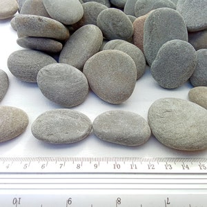 Flat Sea Pebbles. Oval, Semi-round Beach Pebbles 35-50 Mm (1.3-1.9") 30 ...