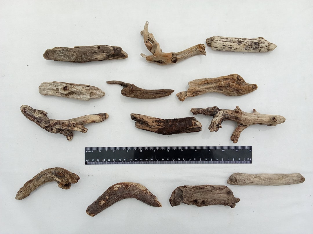 Driftwood Chunks 125-168 Mm (4.92"-6.61") 13 Pcs. Large Pieces of Flow ...