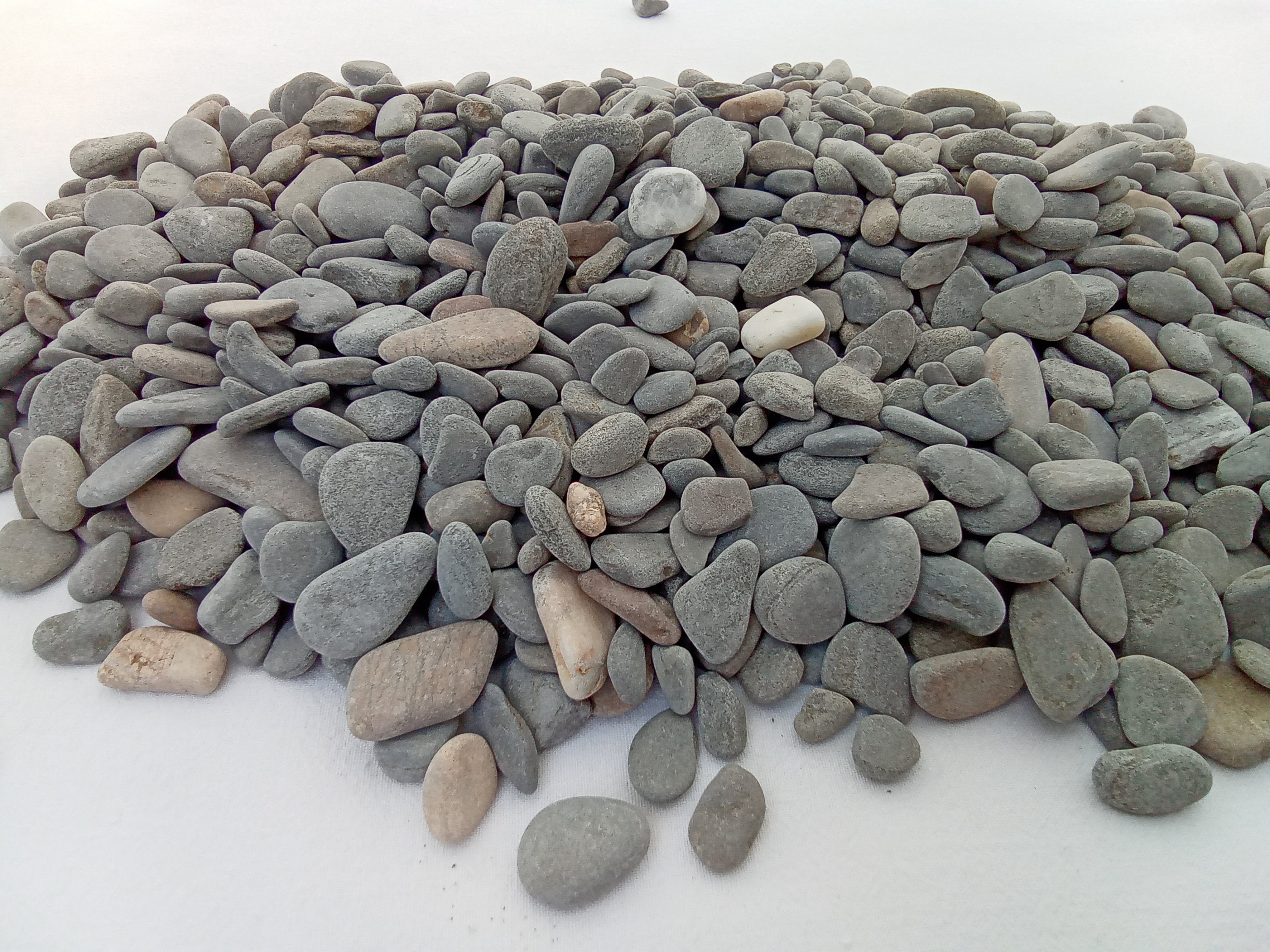 Small Tiny Sea Pebbles. Flat Sea Stones. Gray Beach Pebbles - Etsy