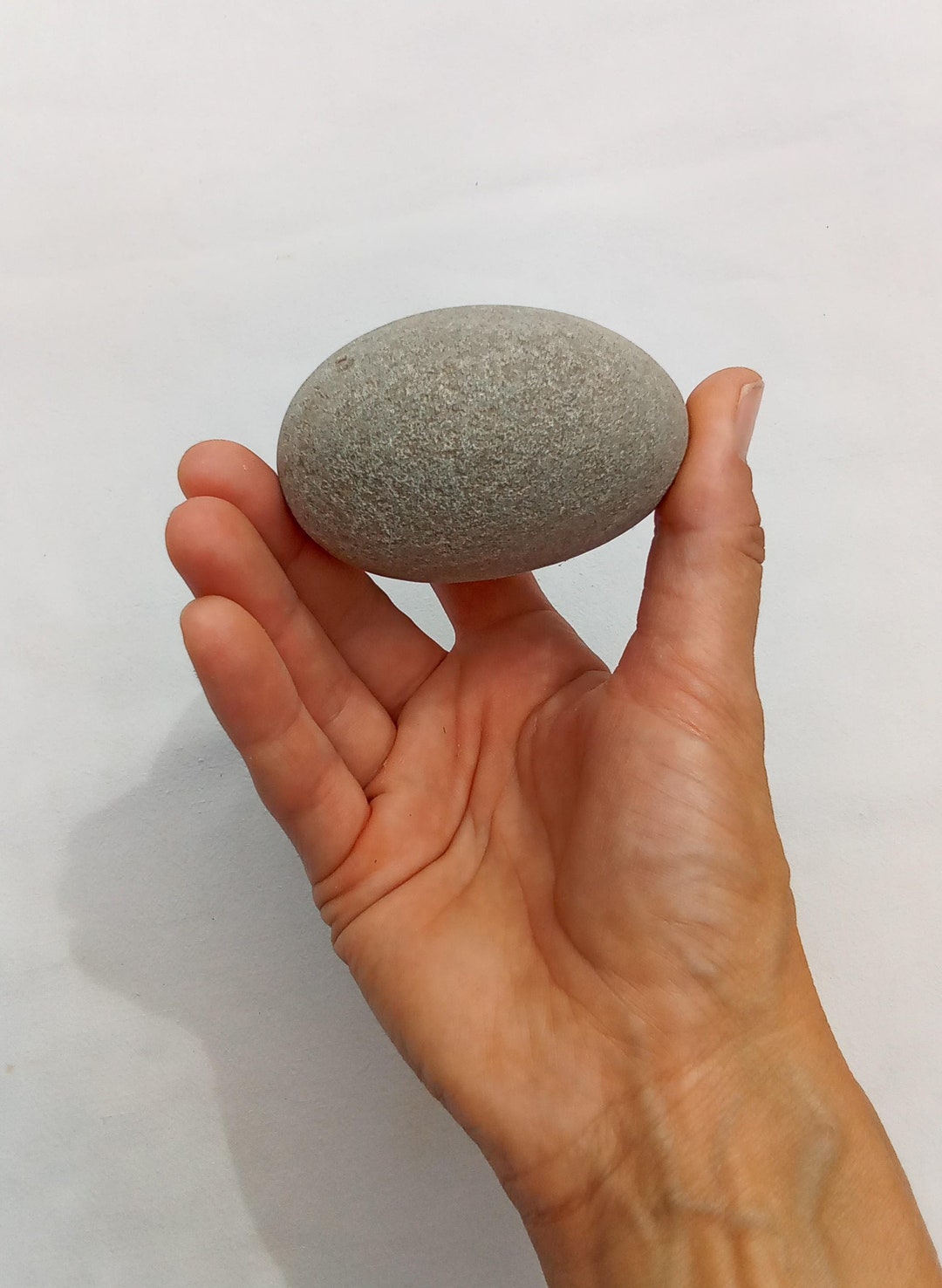 Large Round Shaped Stone. Table Centerpiece Aquarium Craft Supply Sea ...