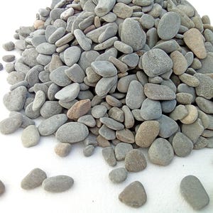 Small Tiny Sea Pebbles. Flat Sea Stones. Gray Beach Pebbles 0-30 Mm (0 ...
