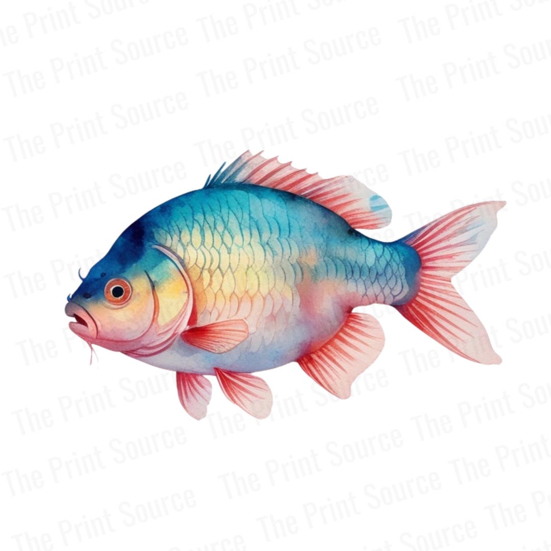 Fish Watercolor PNG Clipart | Digital Fishing Art | Aquatic Life ...
