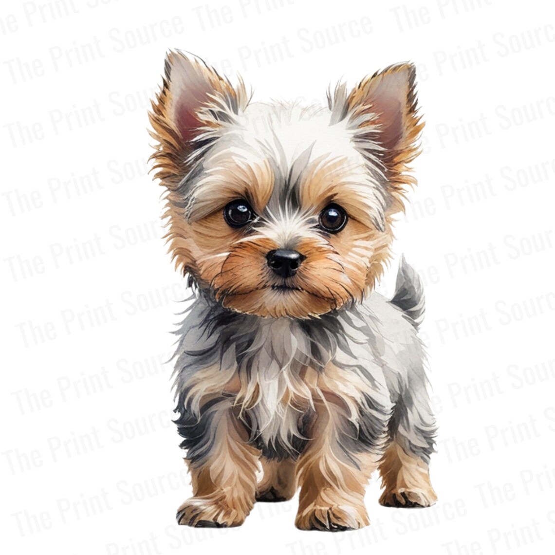Yorkshire Terrier Watercolor PNG Clipart | Cute Dog Digital Art ...