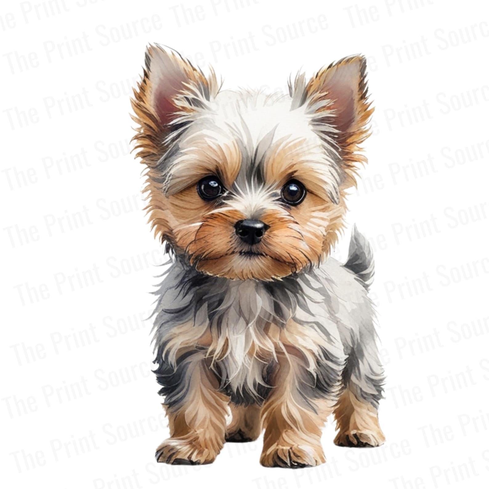 Yorkshire Terrier Watercolor PNG Clipart | Cute Dog Digital Art ...