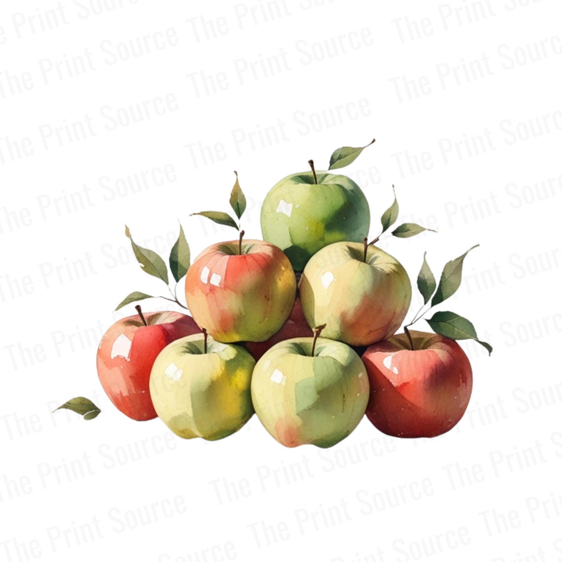 Apple Watercolor Clipart PNG | Rustic Fruit Digital Art | Fall Clip Art ...