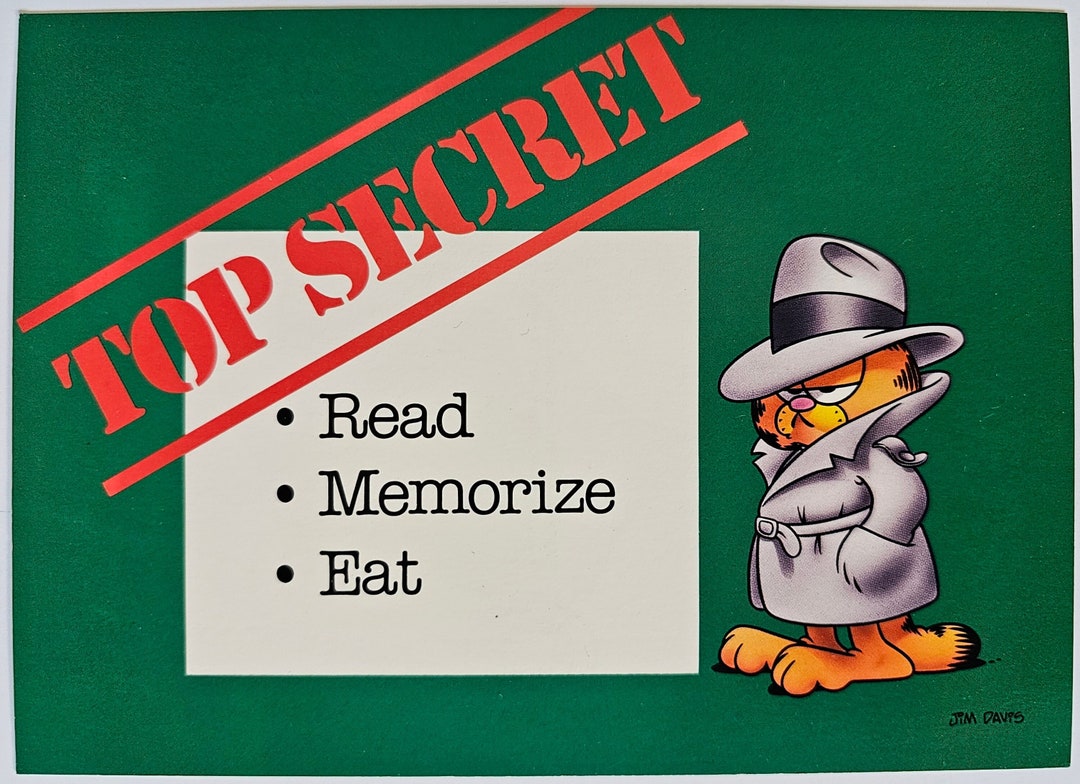 Garfield Cat Top Secret 1978 Vintage Postcard - Etsy