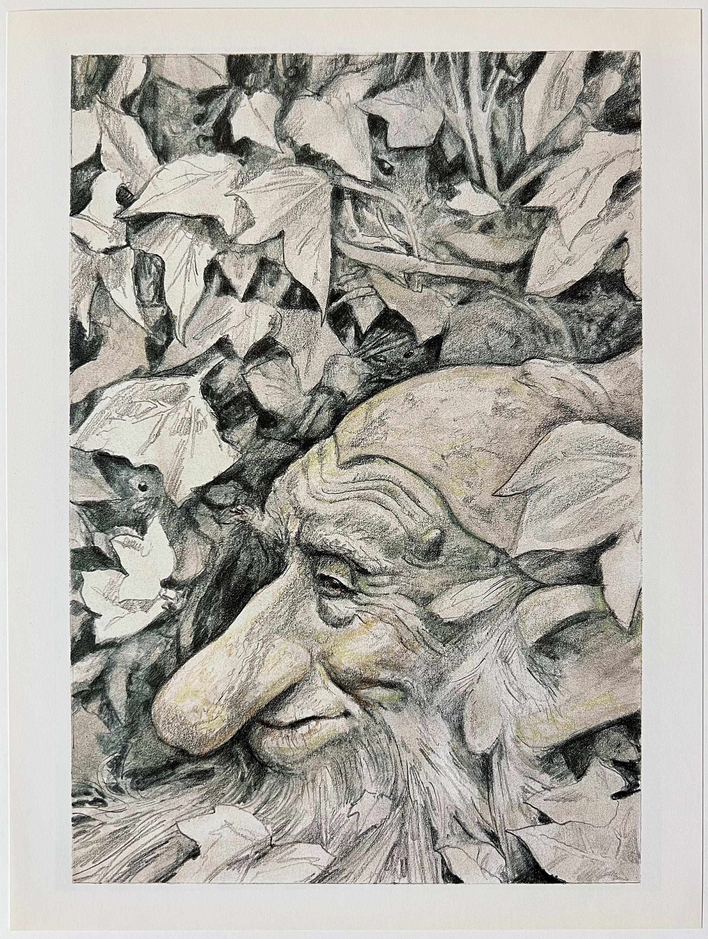 Brian Froud Gnomes