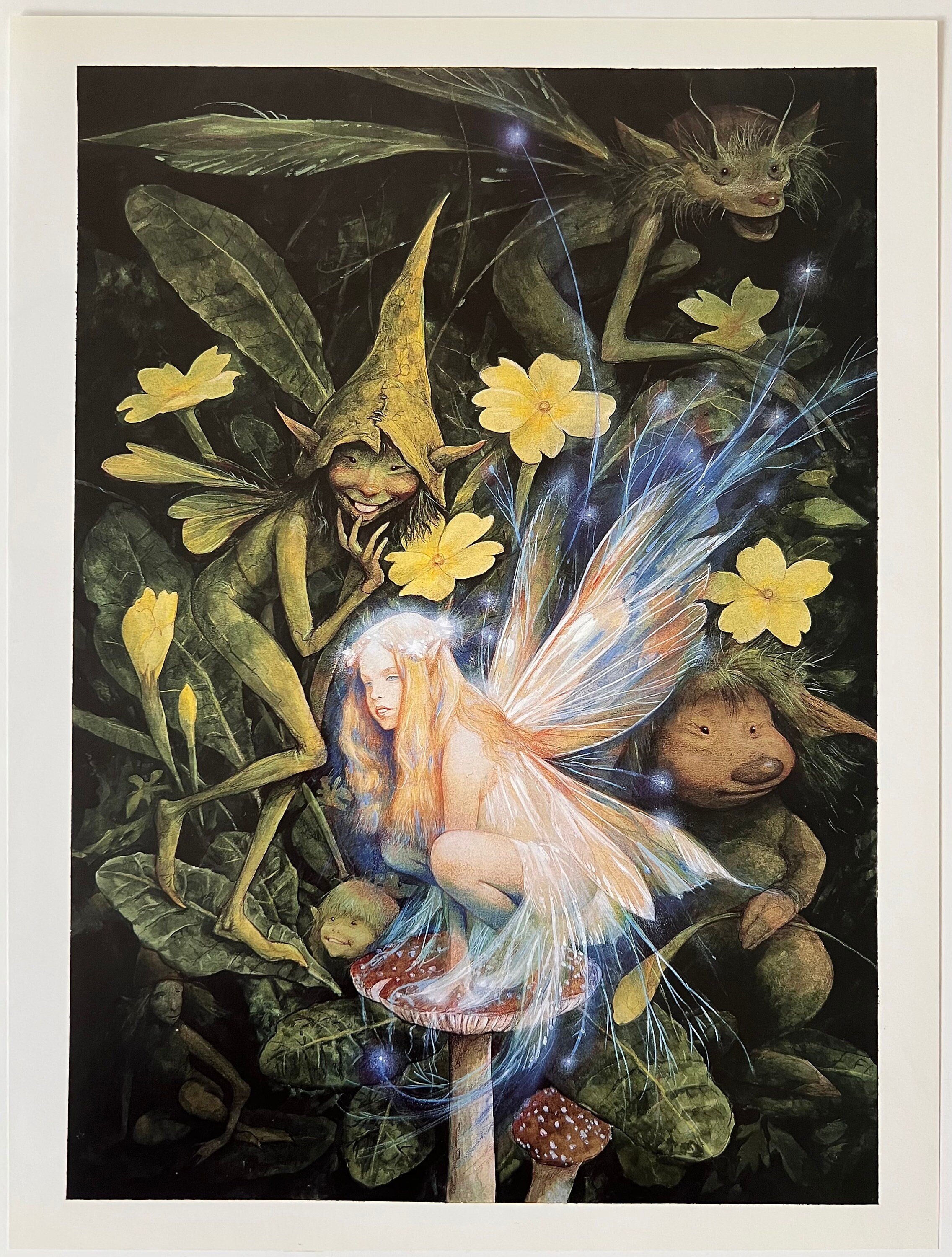 Brian Froud Faeries Fairy 2000 Vintage Book Print - Etsy