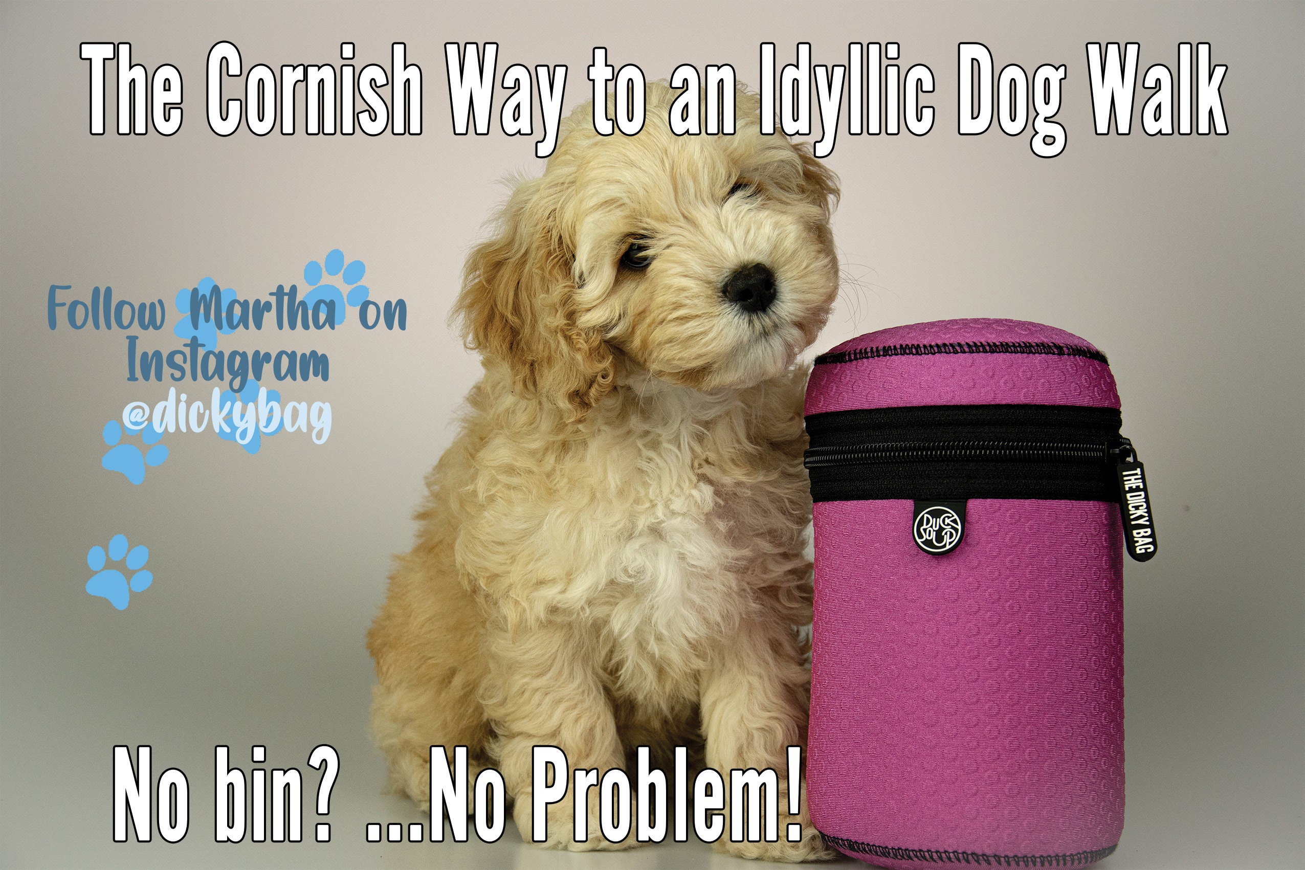 Dicky Bag-dog Faces: A Hands-free, Odour-proof, Dog Poo Bag Holder - Etsy