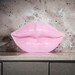 6.5 Pink Moulded Pout Lips Home Decoration Ornament Shelf Display ...