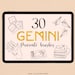 30 GEMINI Aesthetic Procreate Brushes Free Daily Tracker Page stamps ...