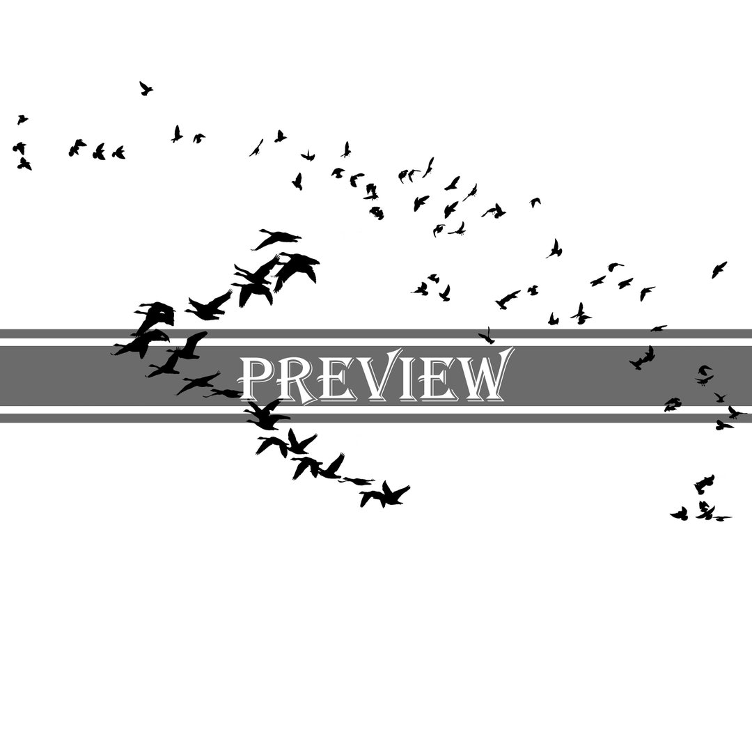 BIRDS SILHOUETTE OVERLAY, Digital Downloads, Photoshop, Personal ...